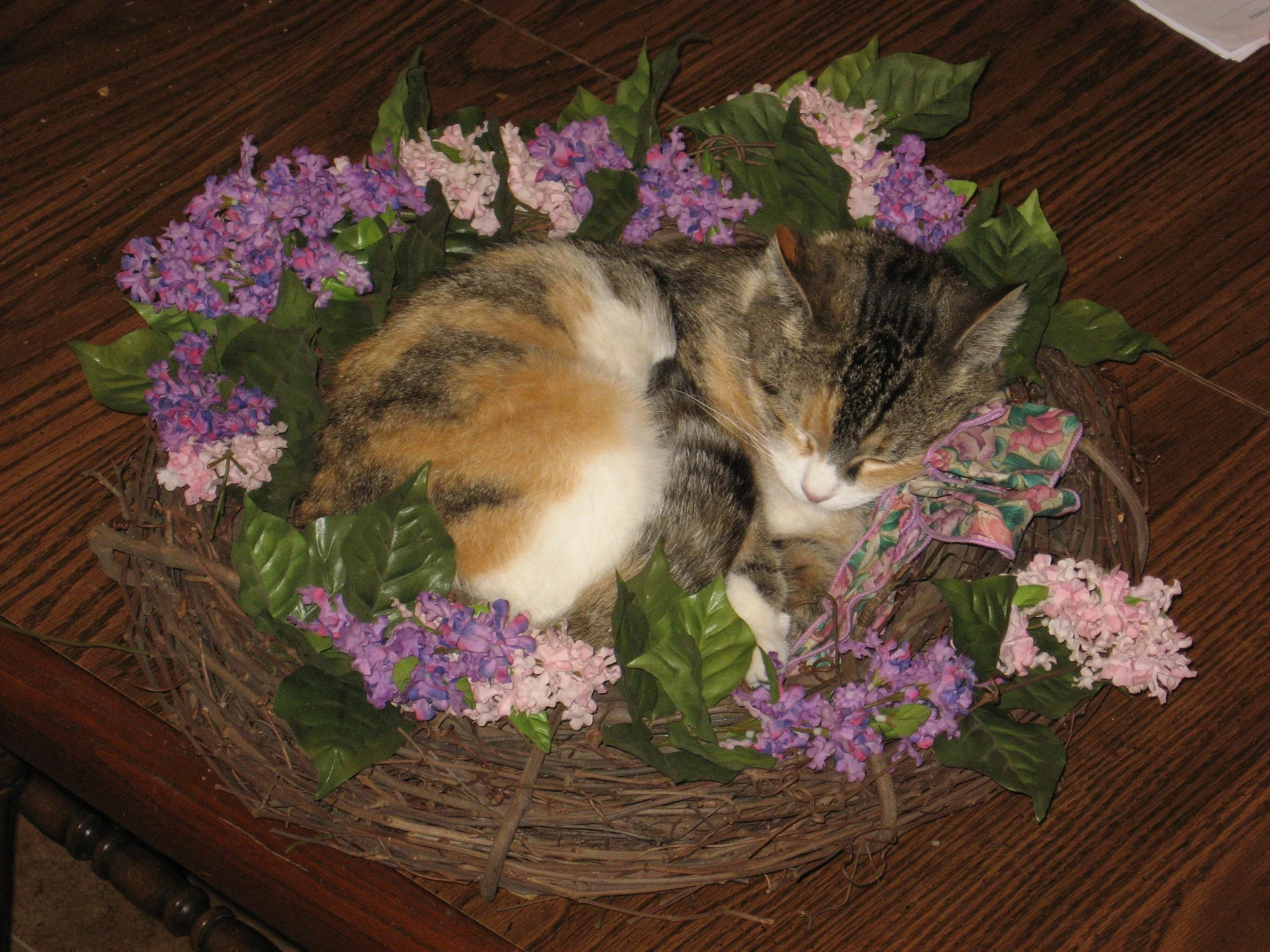 Pingua — Inside Chicago Walking Tours | Best Interior Architecture ...