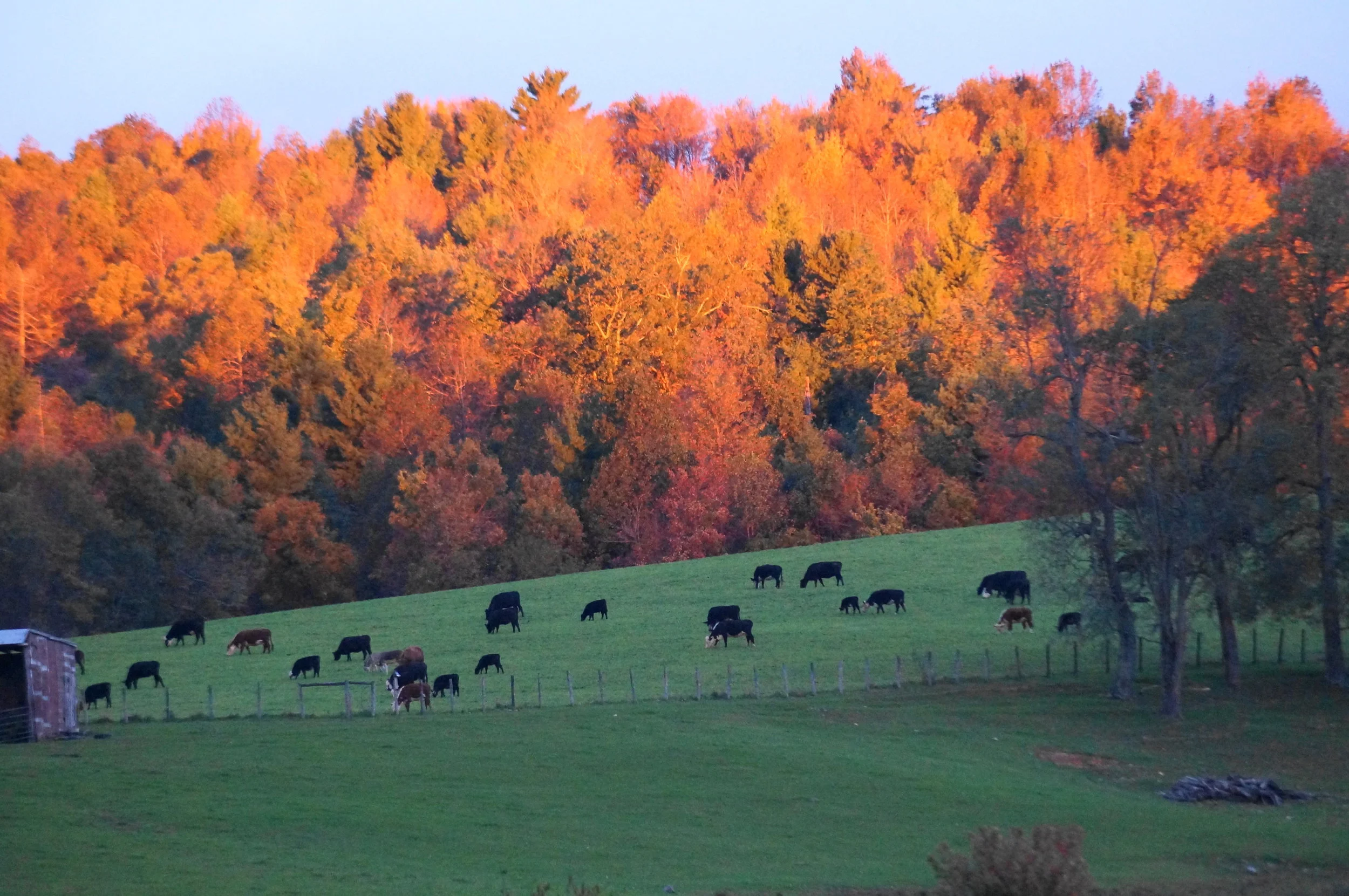 derrick's random views