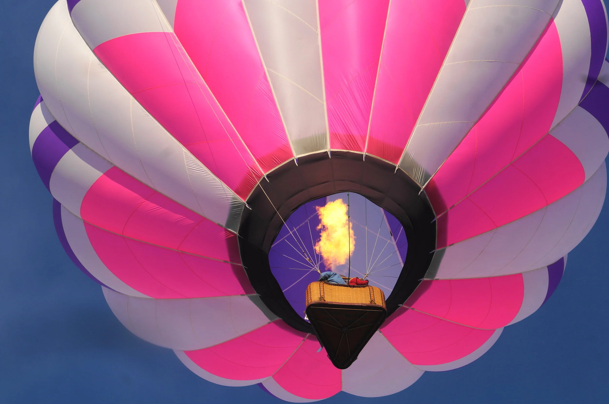 derrick's random views