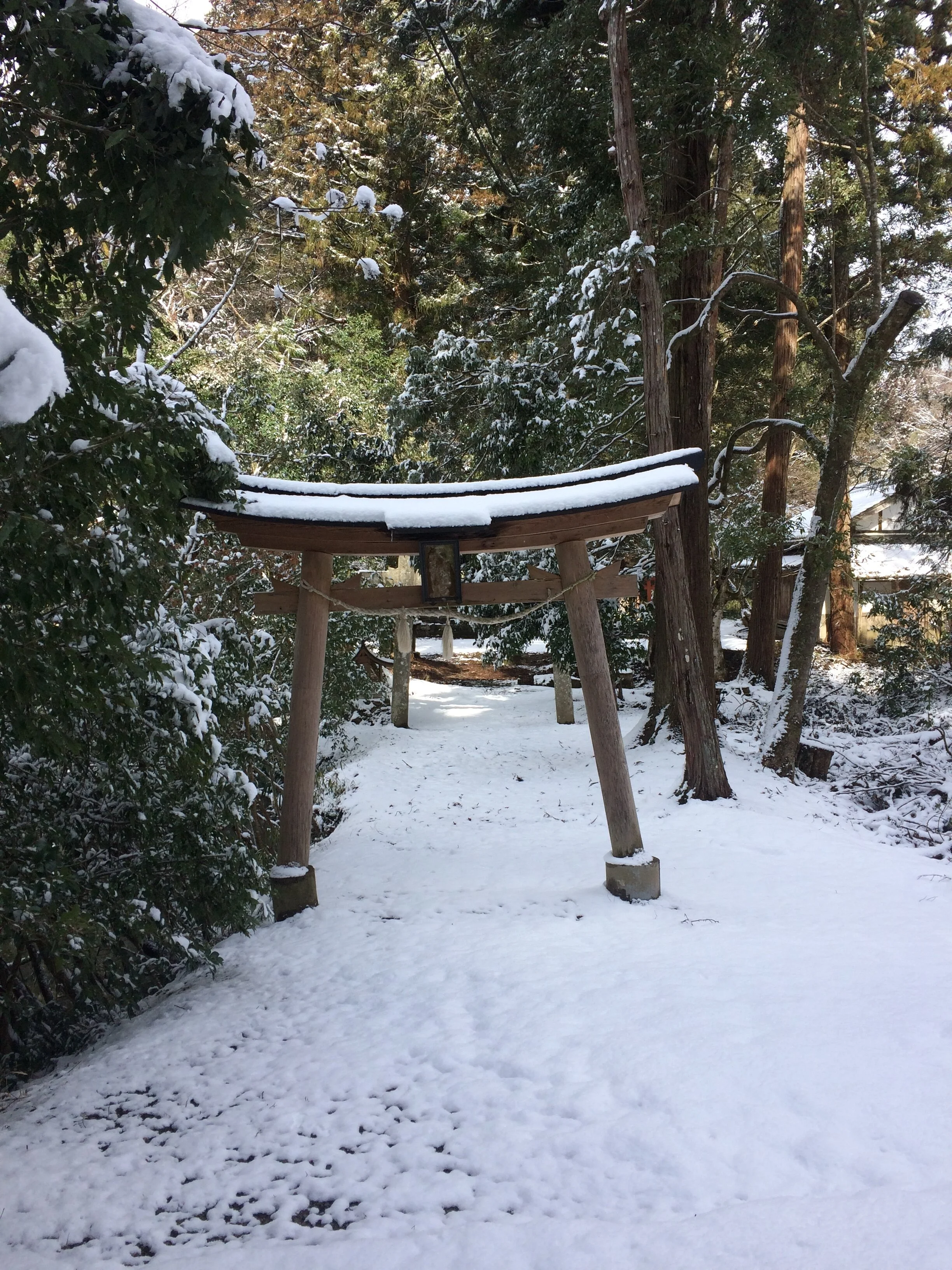 fieldwork, ogami — John Dix