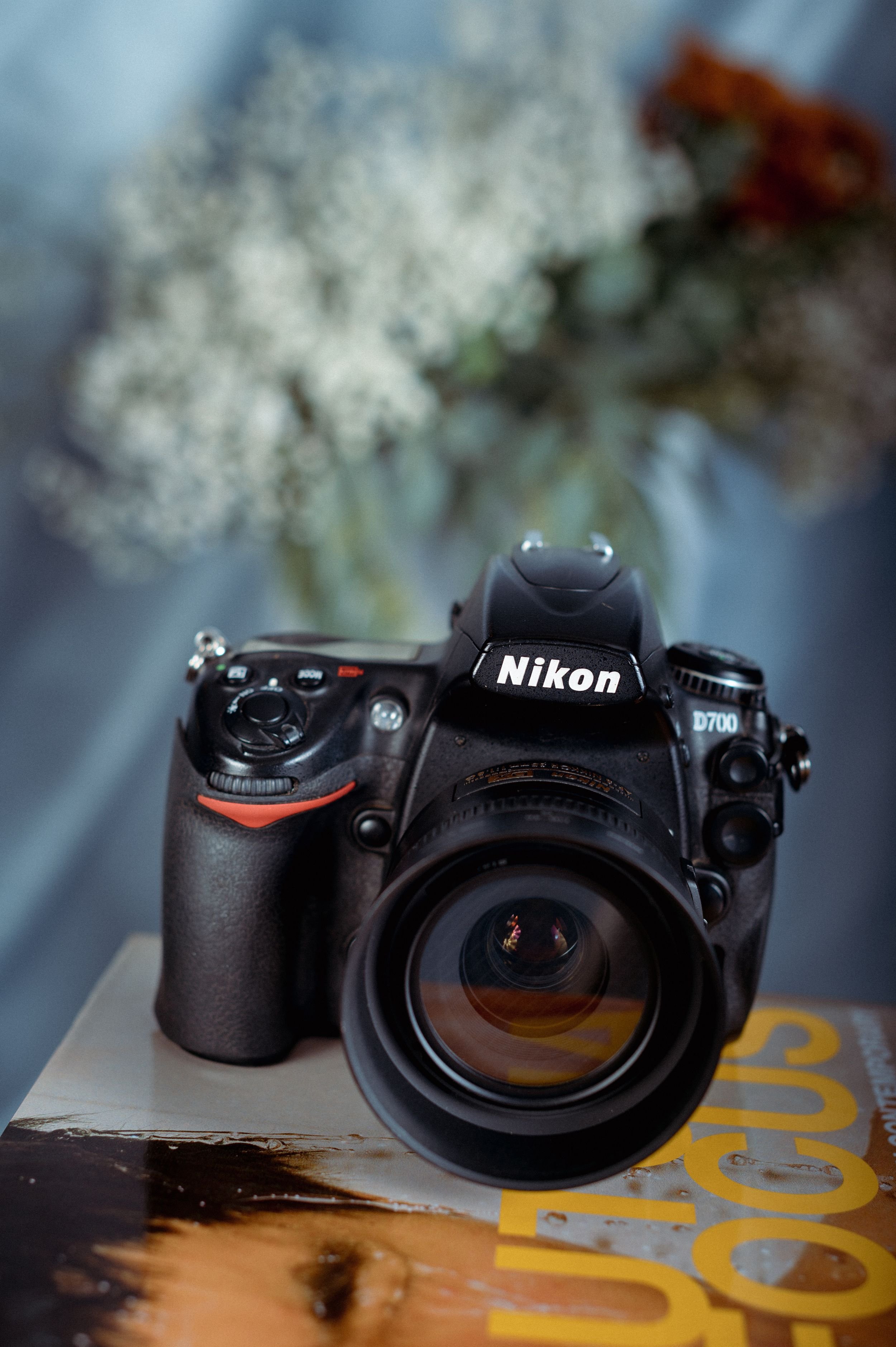 Jerri Rose White Photography | Pasadena and Los Angeles Female Portrait ...