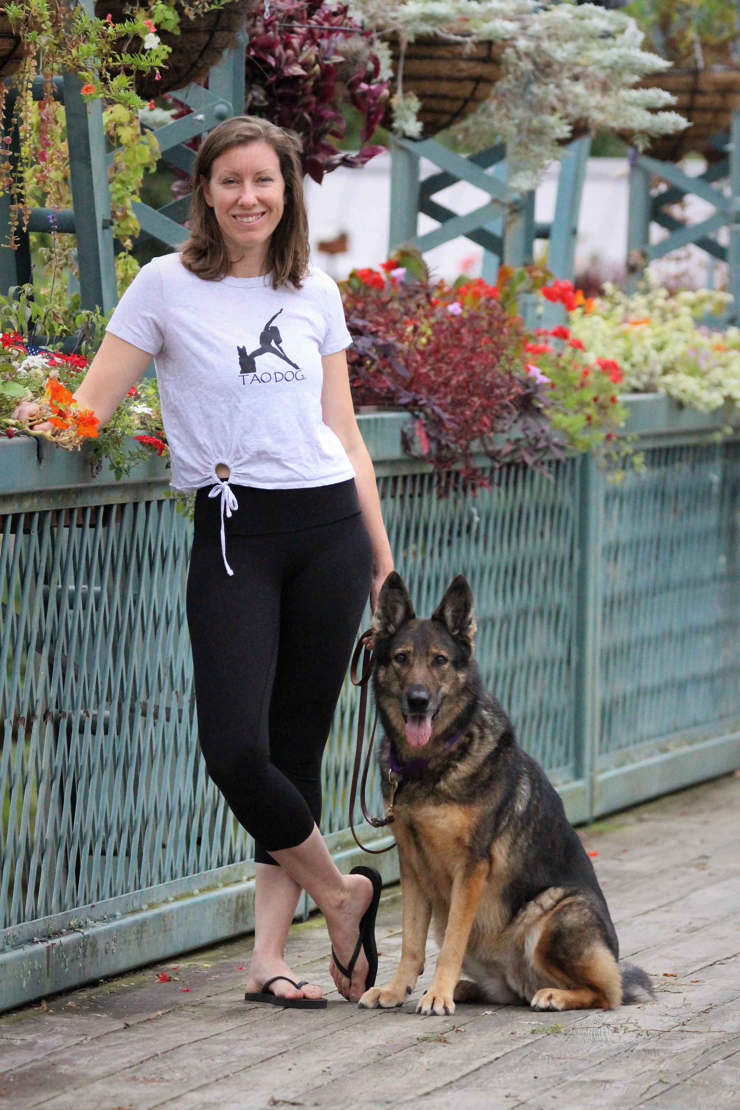 Our Story — TAO DOG® Wellness
