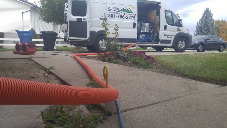 Alpine Professional Carpet Care, carpet cleaning in Utah County ... Alpine Professional Carpet Care, carpet cleaning in Utah County ...