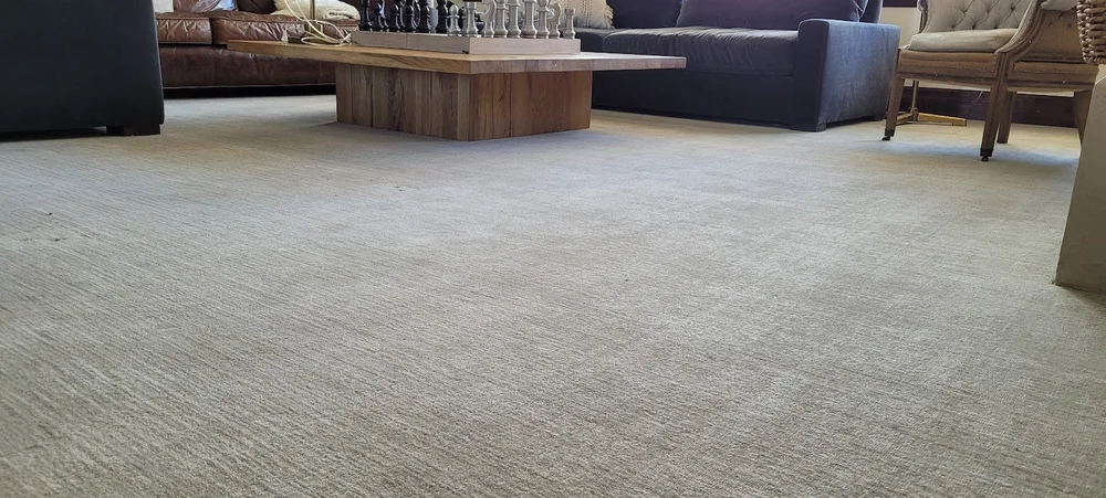 Blog — Alpine Professional Carpet Care