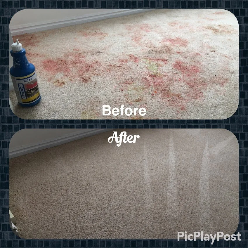 Blog — Alpine Professional Carpet Care