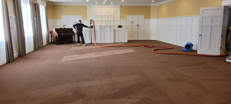 Why is professional carpet cleaning important — Alpine Professional ...