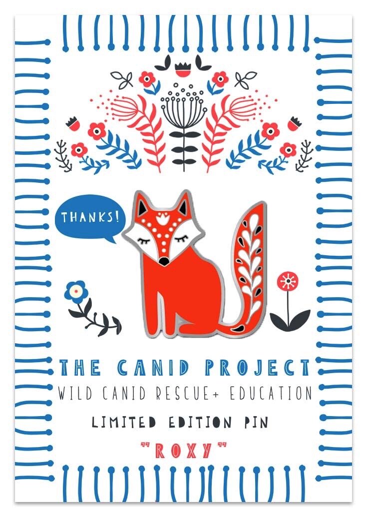 Illustration + Artwork USA Workshops Amy Shutt Photo Amy Shutt Photography