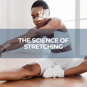 Does Stretching Actually Work? —Physical TheraPT | Comprehensive ...