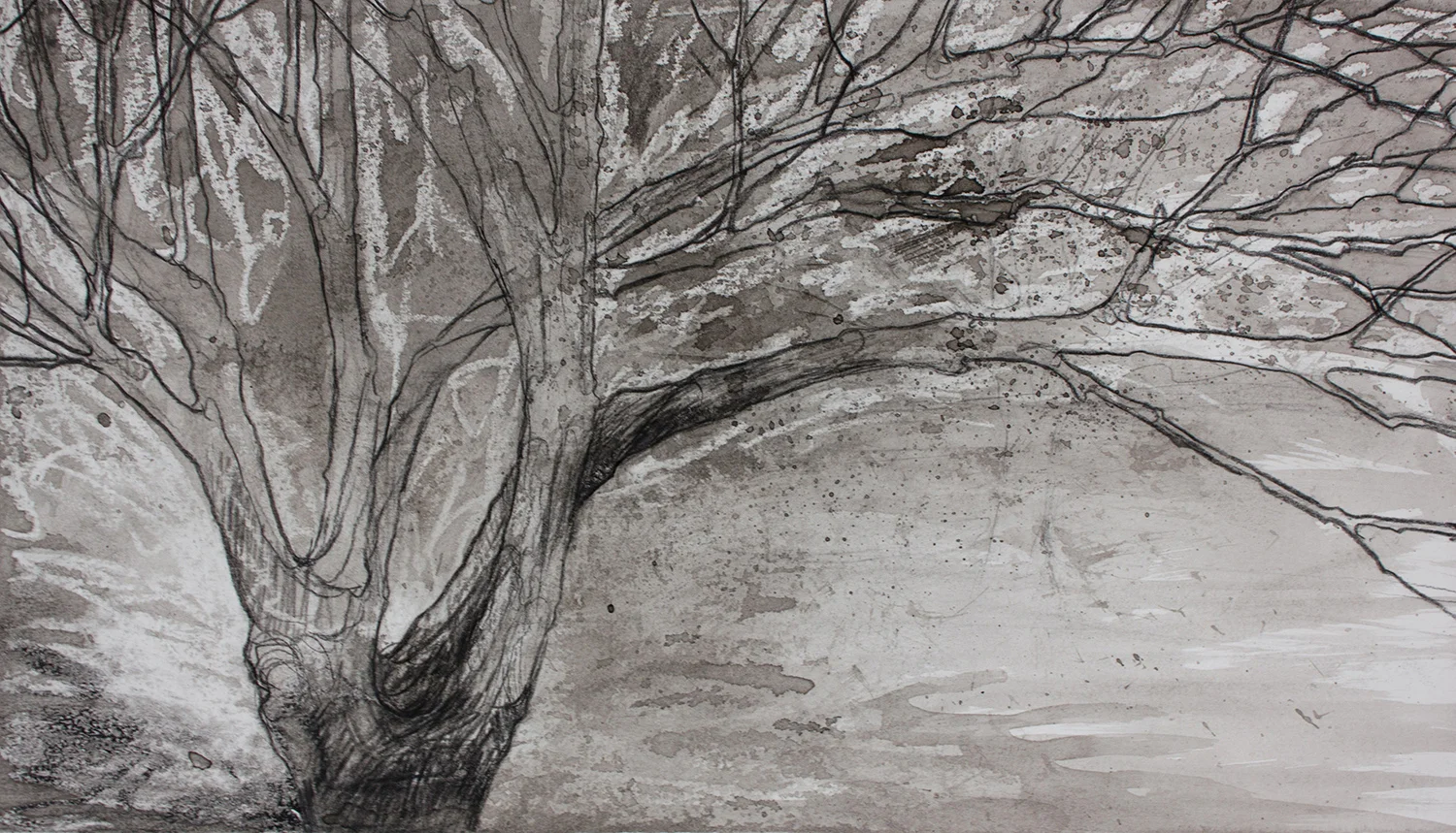 View All Work — Carly Drew