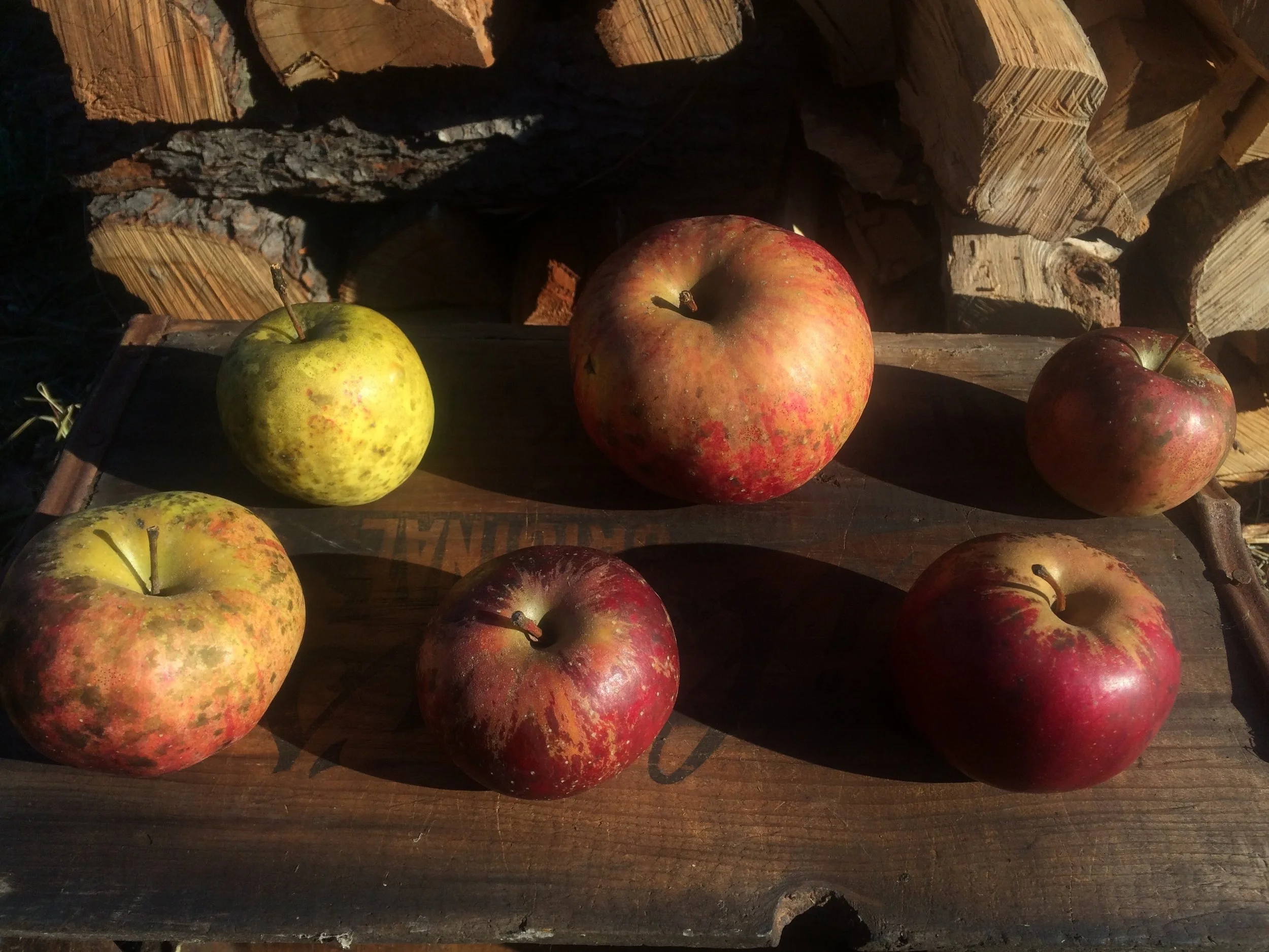 How 'bout them apples? — Journey's End Farm