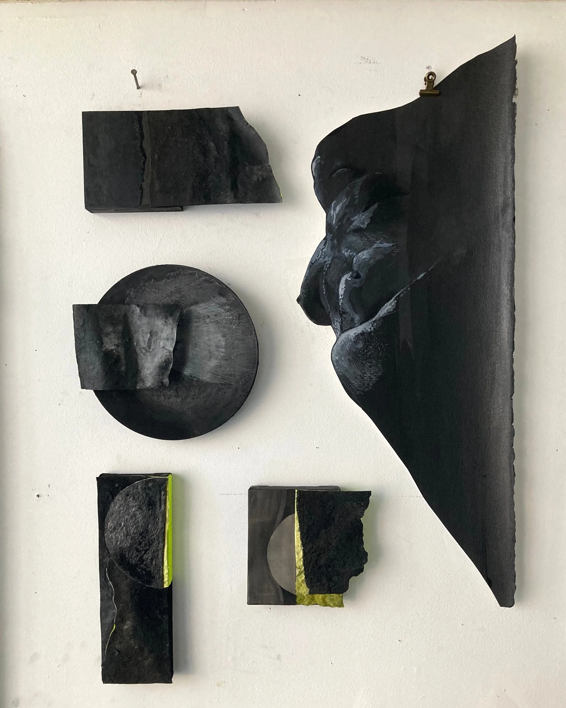 Ecologies of the Night — Krista Dragomer