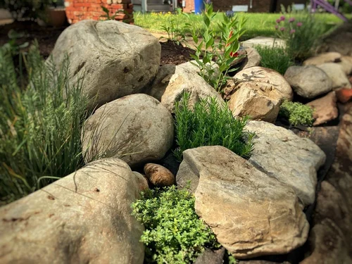 The benefits of a rock garden (it’s easier to do than you may think ...