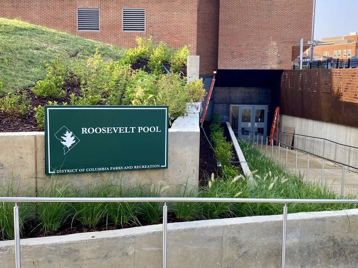 Good news, swimmers! Roosevelt pool opens to the public — Petworth News