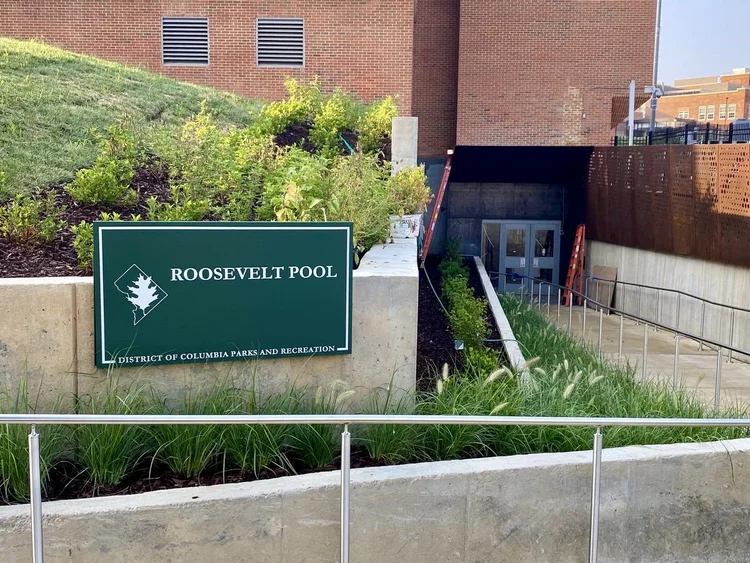 Good news, swimmers! Roosevelt pool opens to the public — Petworth News