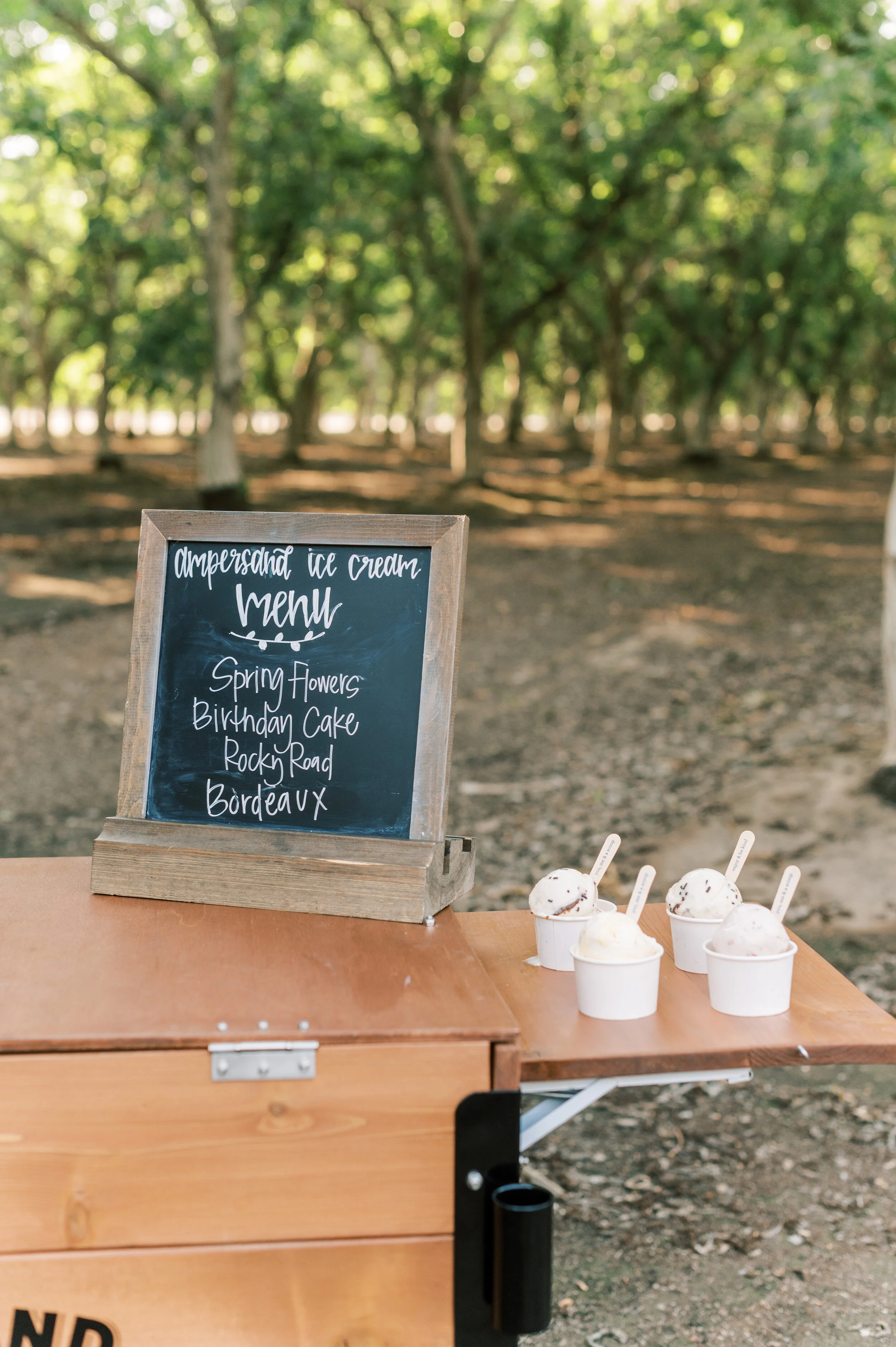 Catering — Ampersand Ice Cream