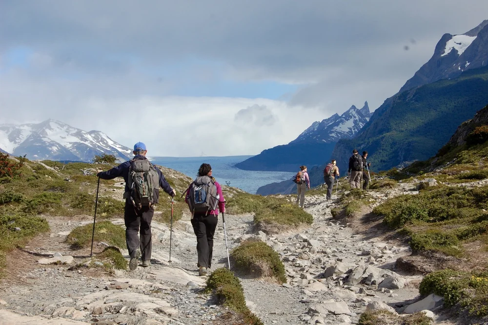 Training for Your Trek: Quick Tips to Get Ready for the Trail — OneSeed ...