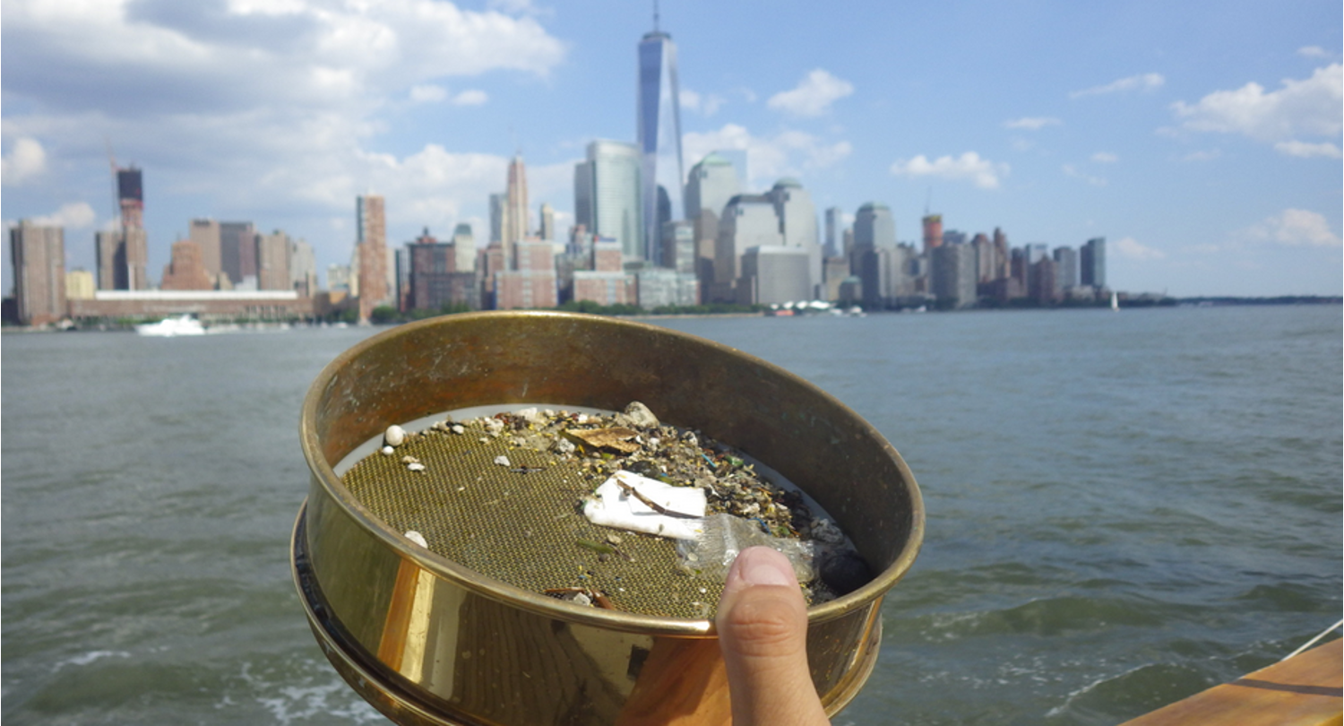 About 5 Gyres — 5Gyres.org