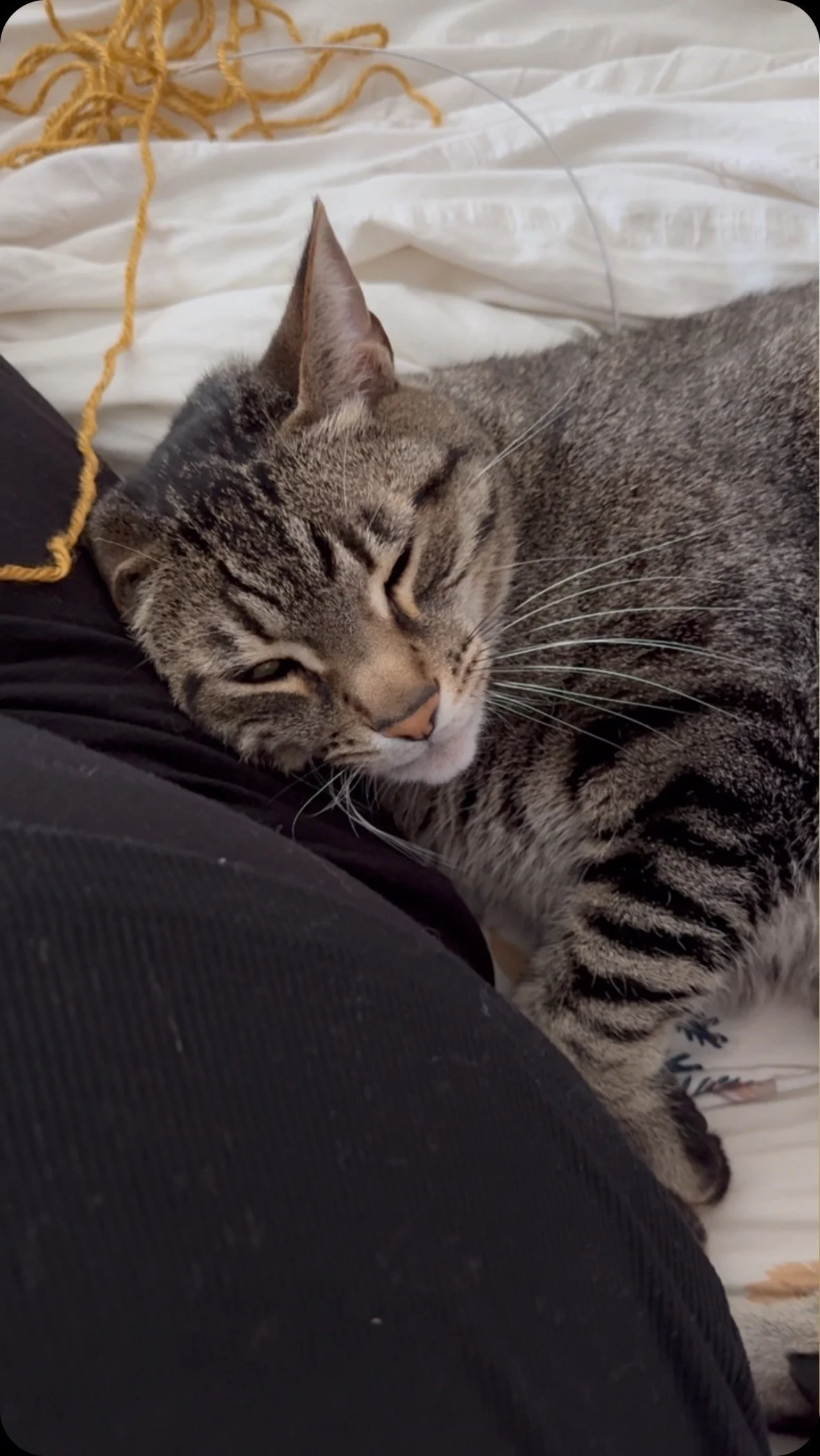 Lemon Peel Stitch Tutorial — Meghan Makes Do