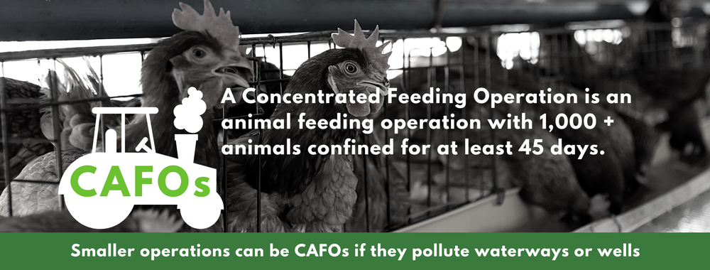 CAFOS — Wisconsin Environmental Health Network