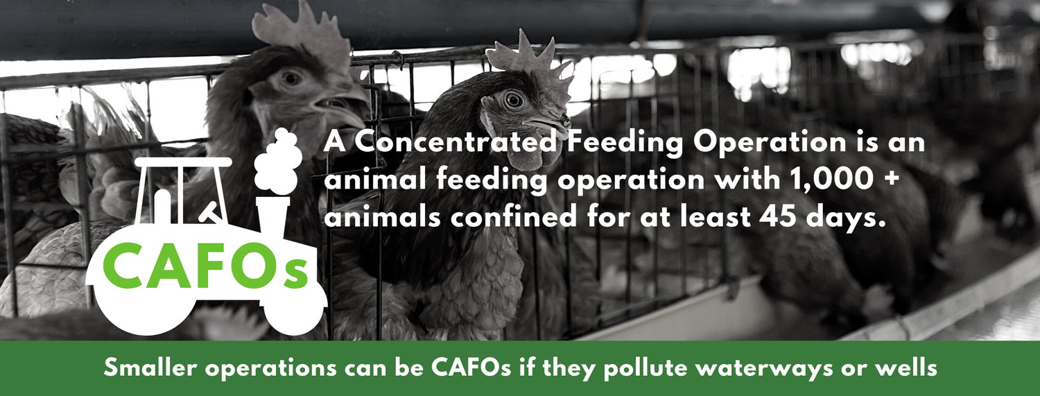 CAFOS — Wisconsin Environmental Health Network