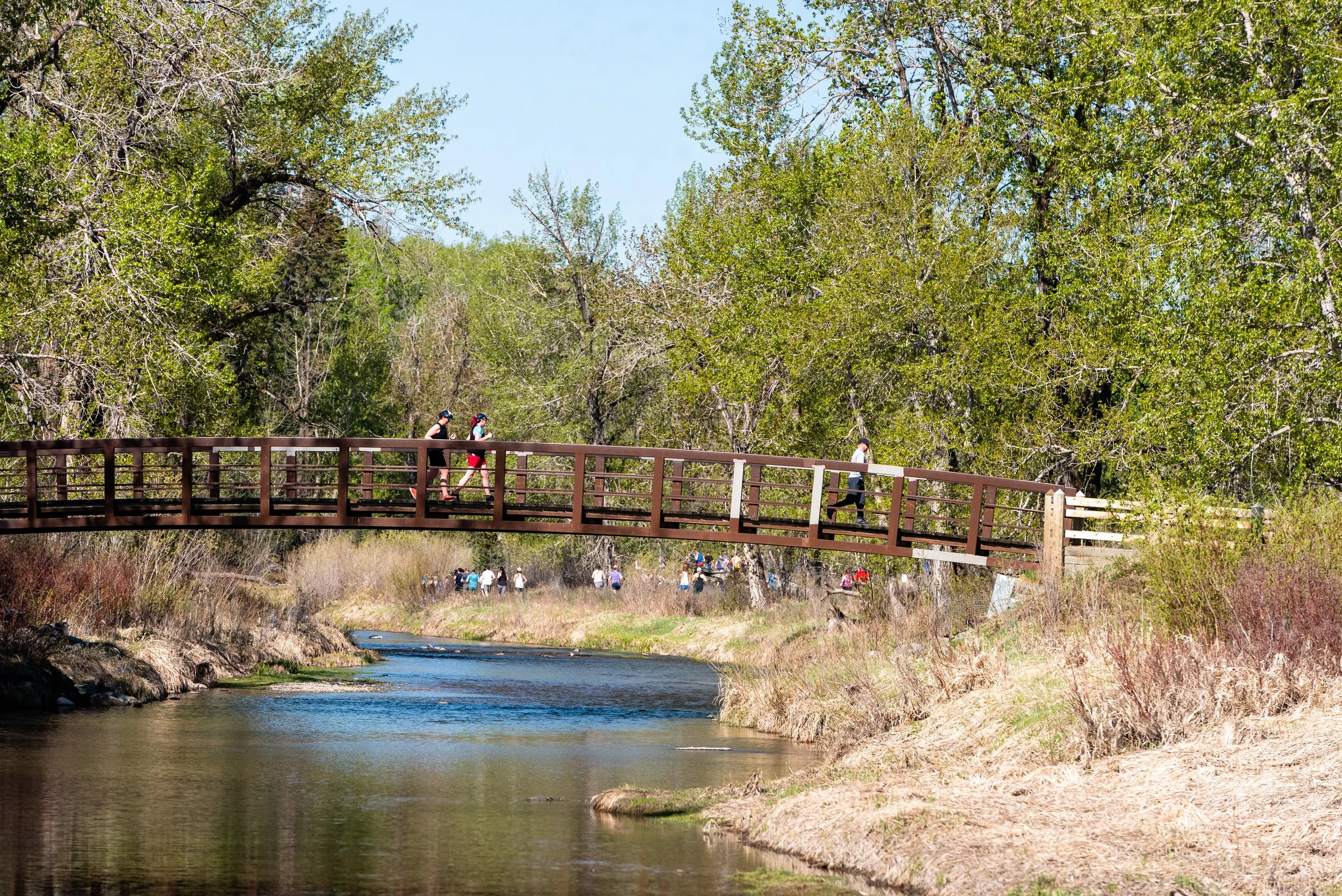 Sikome Lake, AB - 5 Peaks Trail Running — 5 Peaks Adventures