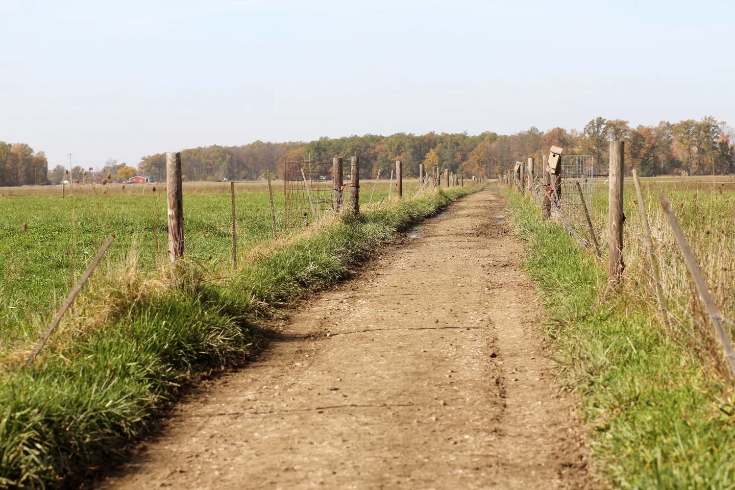 Canal Junction Meat and Cheese — Beetroot