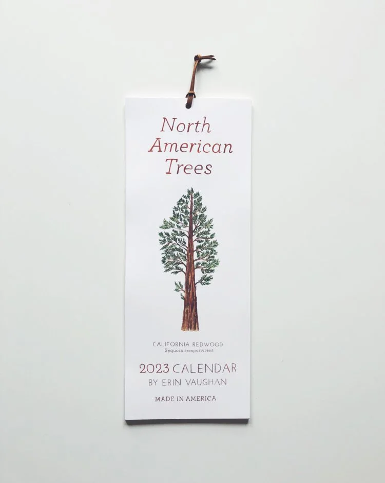 2023 National Parks Edition 1 Calendar — Erin Vaughan | Illustration