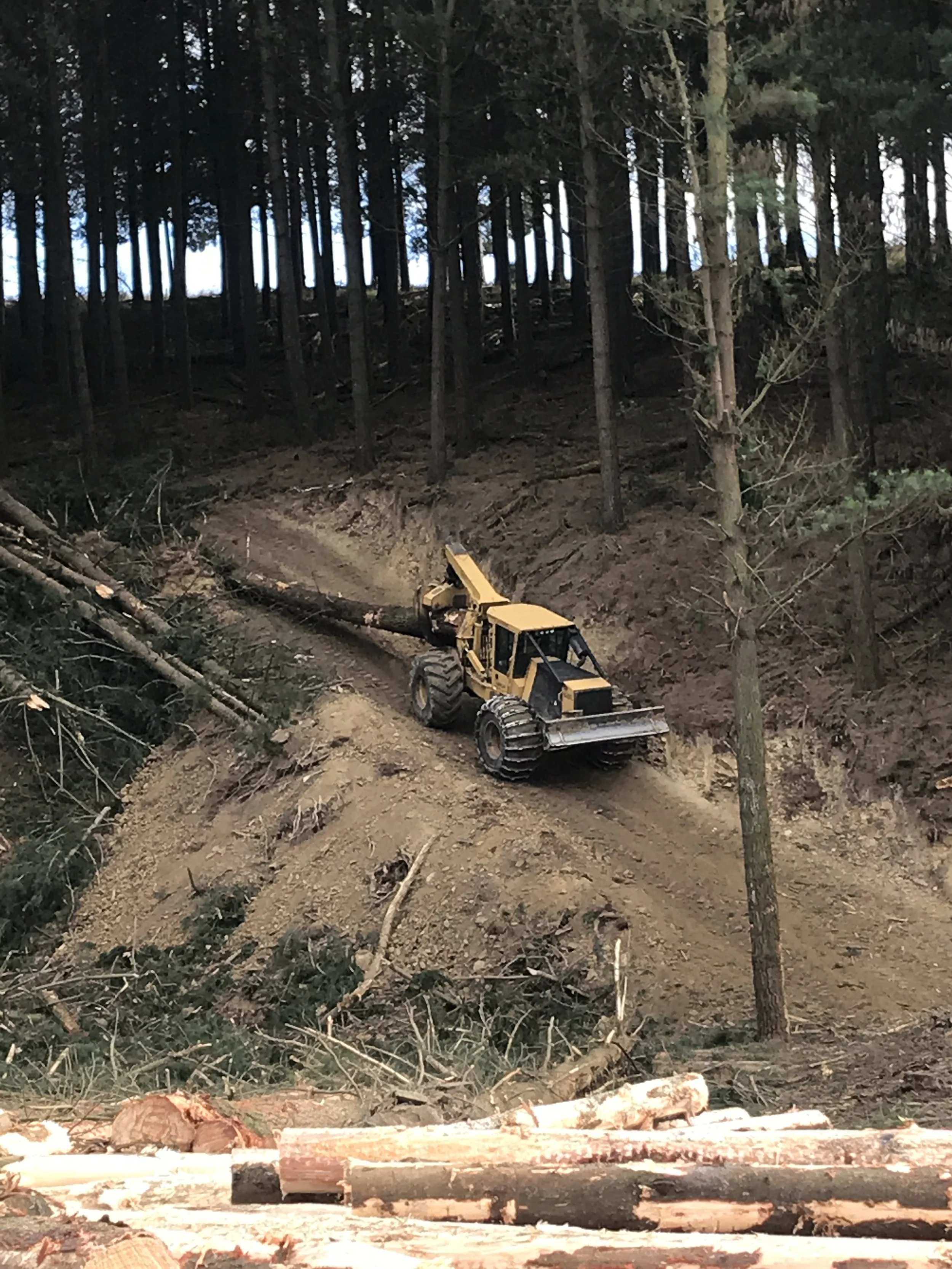 Contractors — Venture Forestry