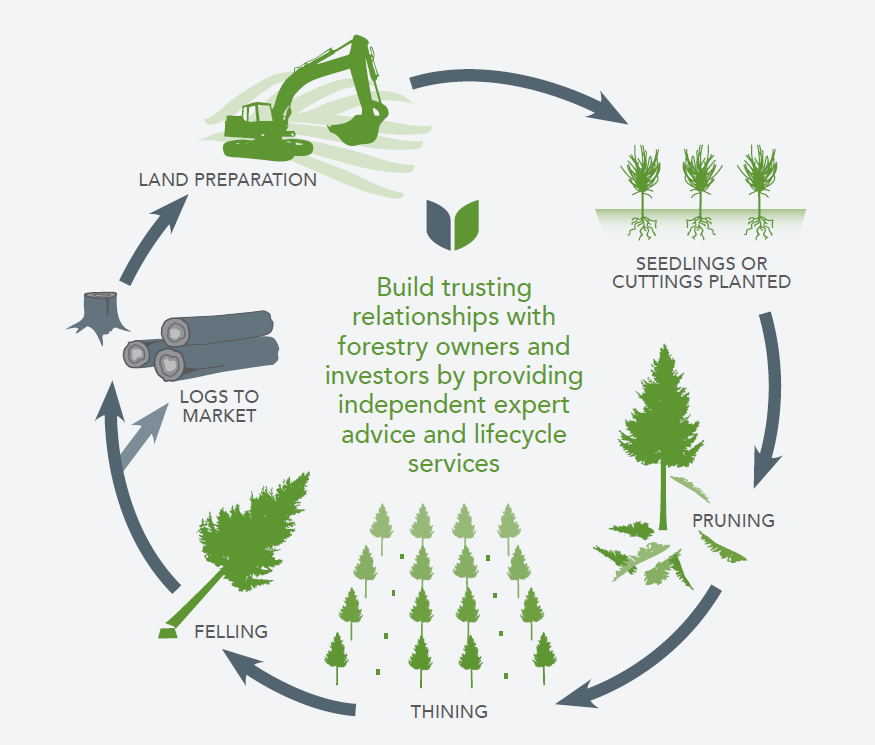 About — Venture Forestry