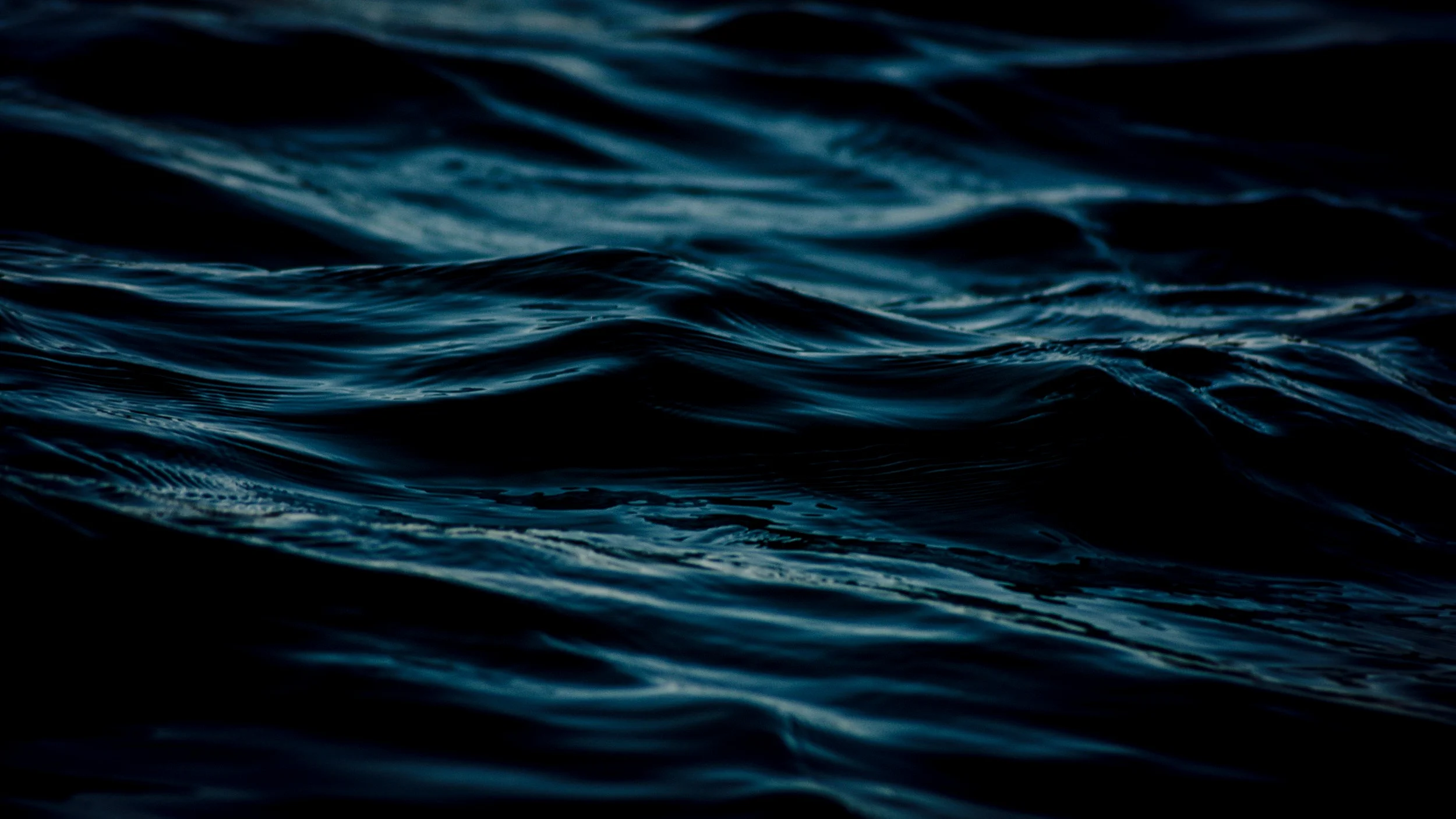 Laura Calandrella | Collaborative Leadership for a Sustainable Future