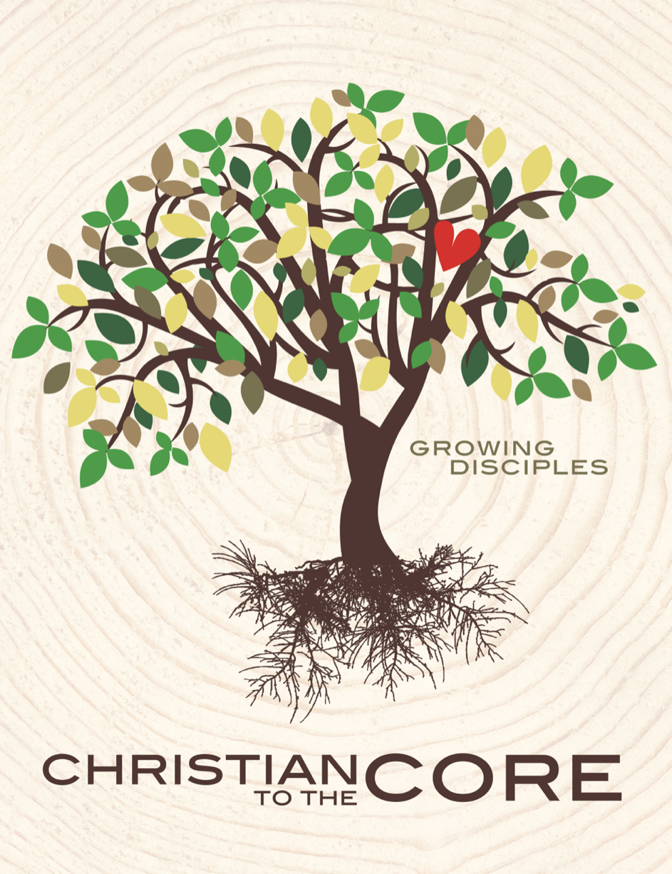 CHRISTIAN TO THE CORE — ILI Team