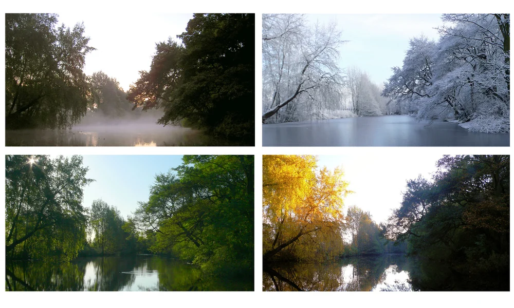 SEASONS — BLOG POSTS — ILI Team