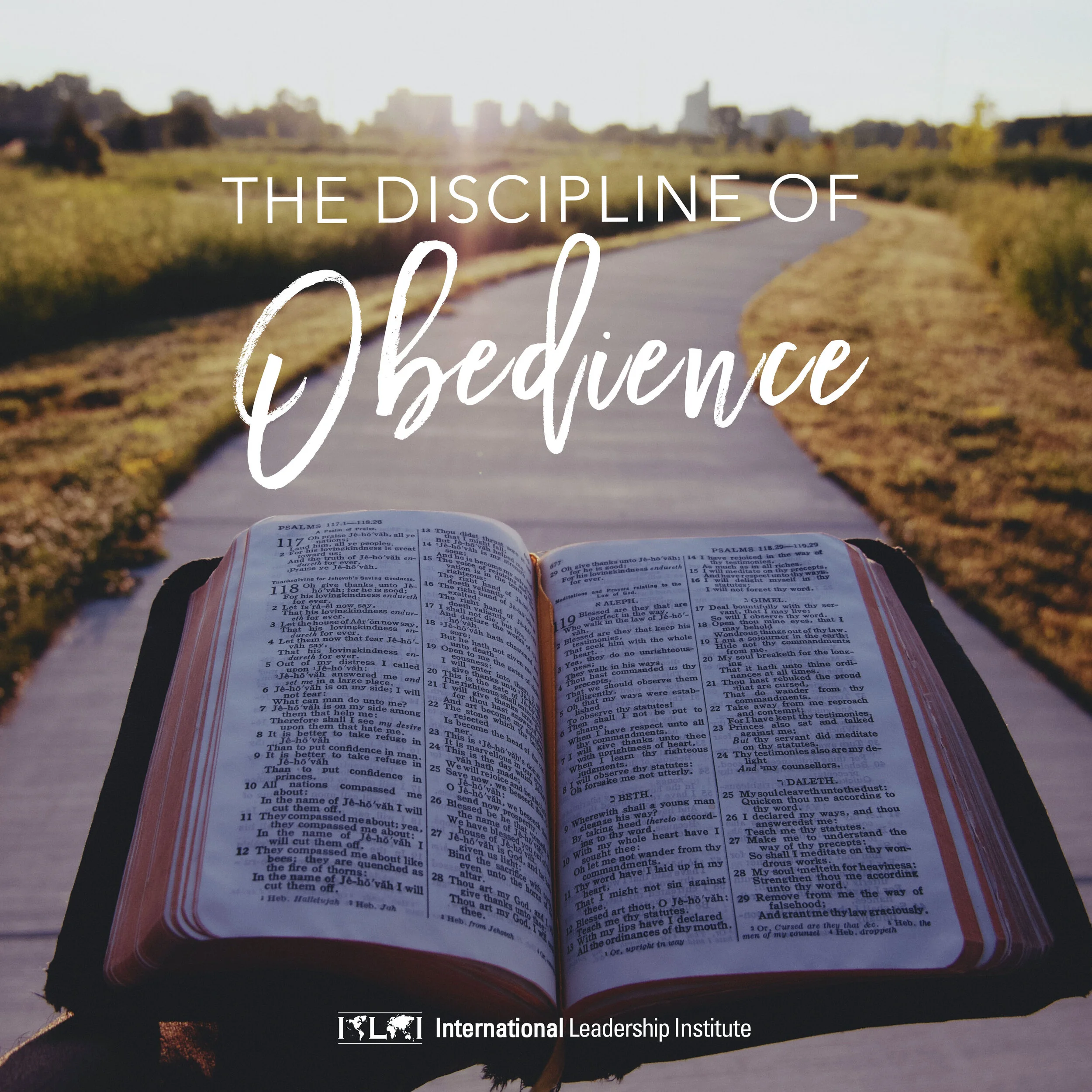 The Discipline Of Obedience BLOG POSTS ILI Team The Discipline Of Obedience BLOG POSTS ILI Team