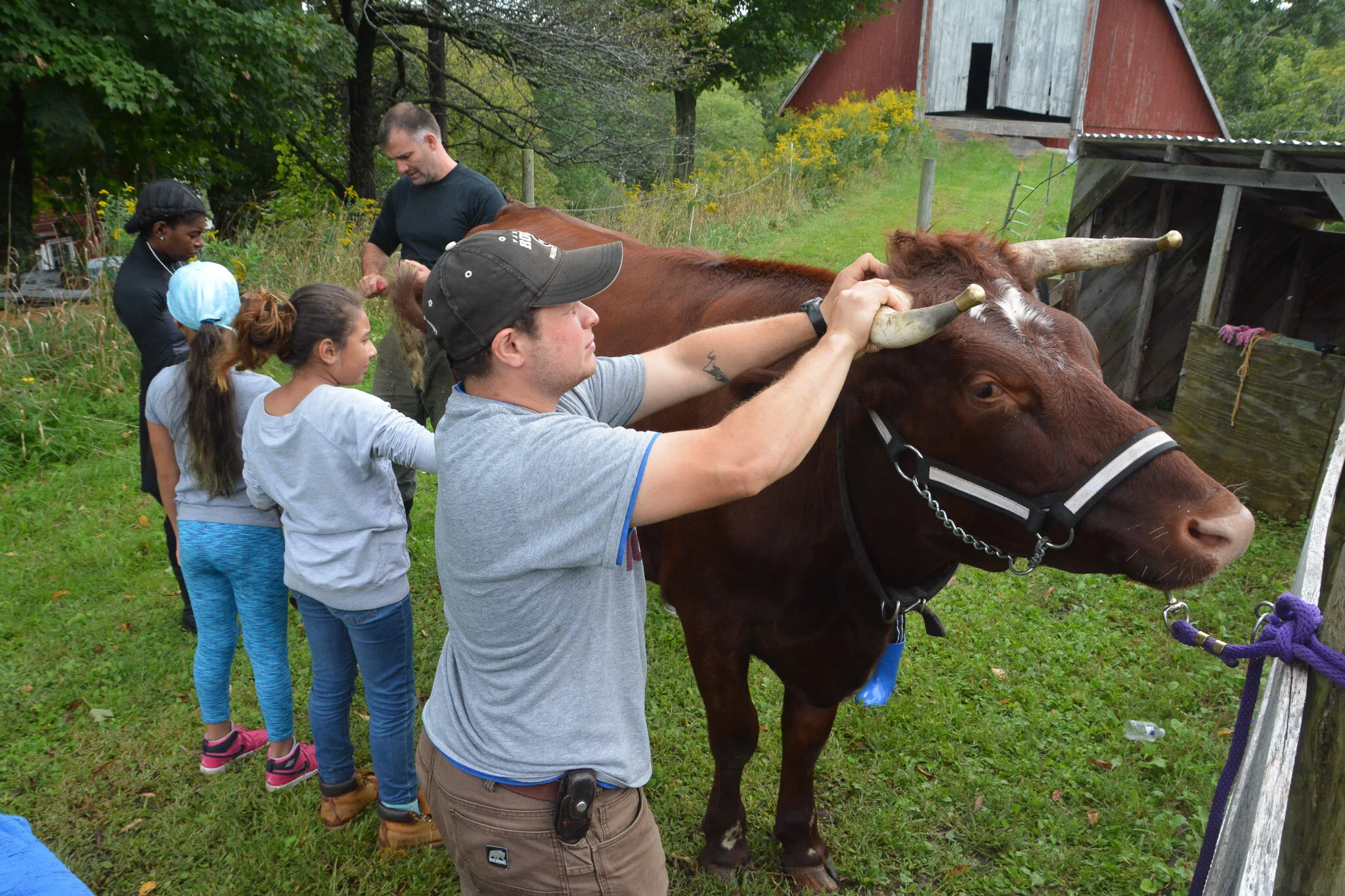Summer Farm Program — red gate farm