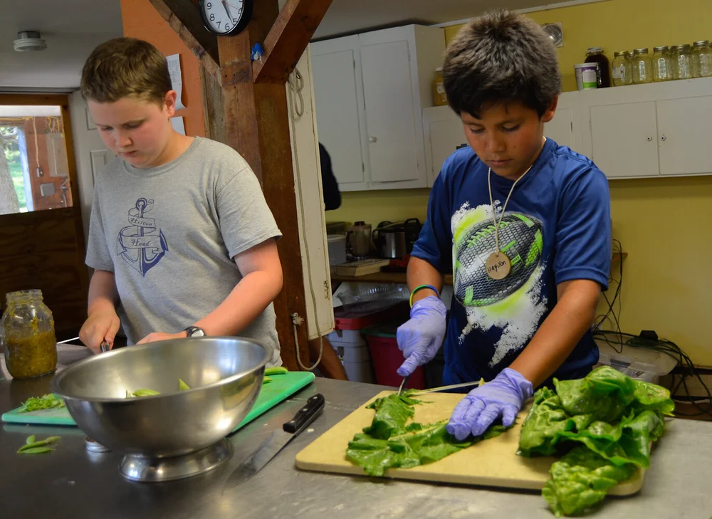 Welcome to Red Gate Farm — red gate farm