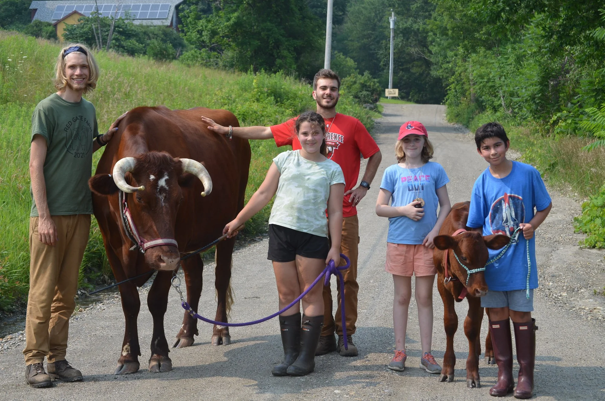 Summer Farm Program — red gate farm