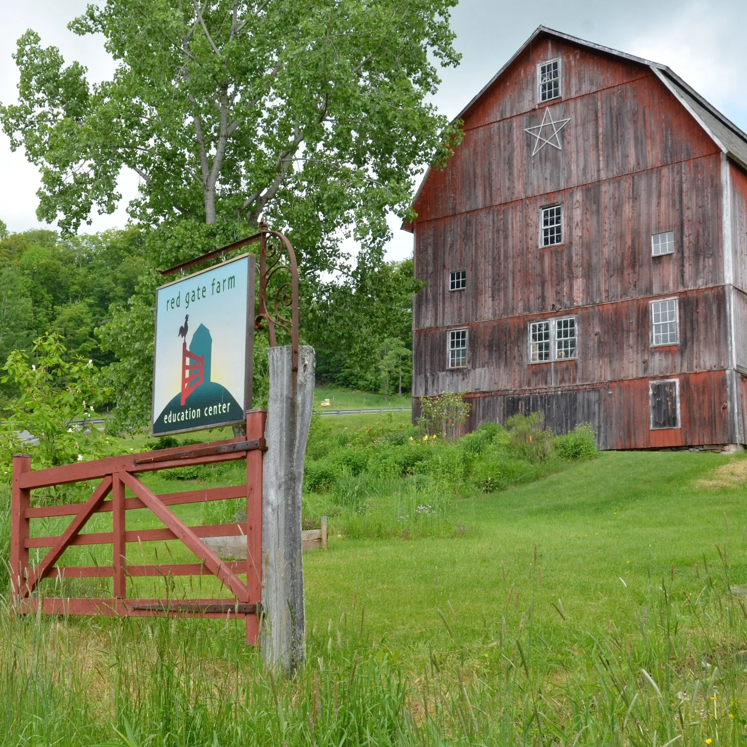 Welcome to Red Gate Farm — red gate farm