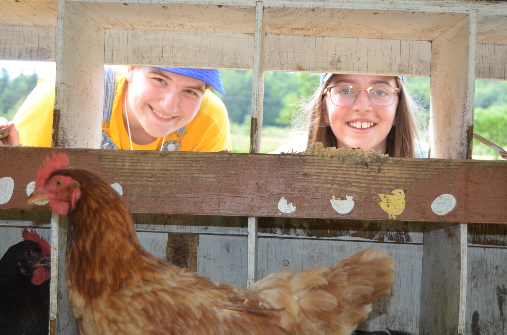 Ready to Go — red gate farm