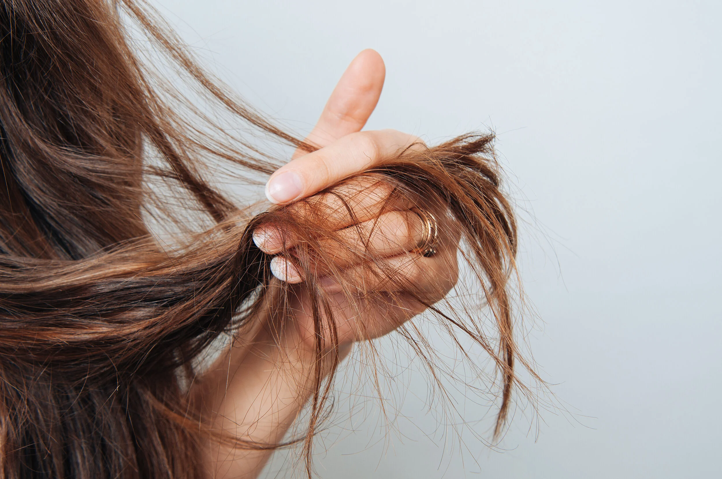 A Stylist's Guide to Healthy Beautiful Hair: 5 Steps to Restore Health ...