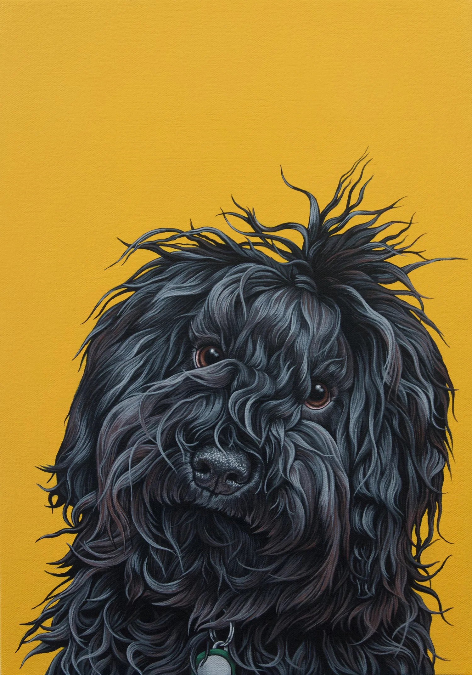 Hand-Painted Pet Portraits — Pop Zoo: Contemporary Pet Portraits