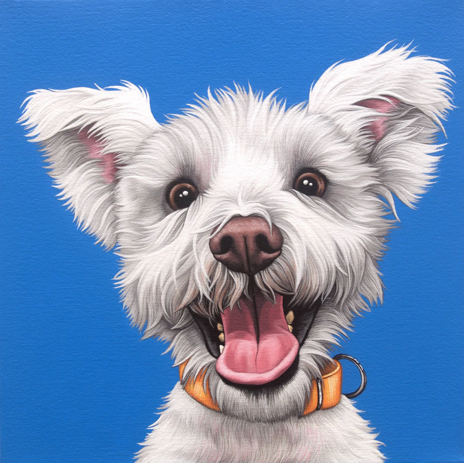 Hand-Painted Pet Portraits — Pop Zoo: Contemporary Pet Portraits