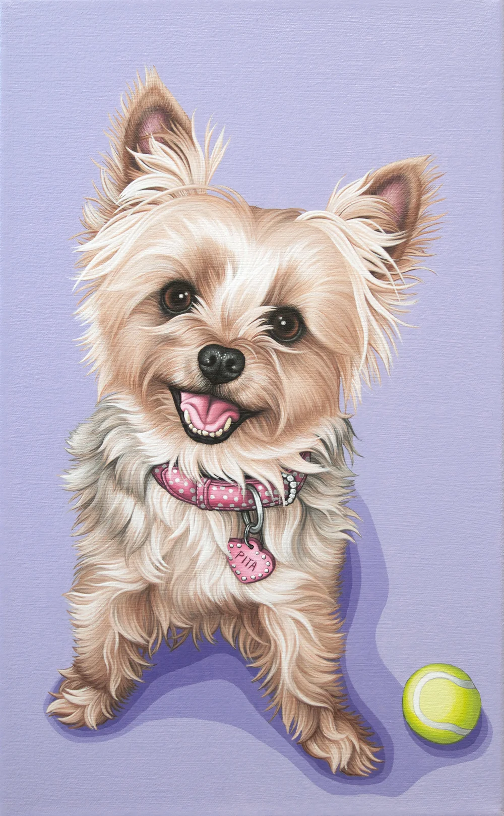 Hand-Painted Pet Portraits — Pop Zoo: Contemporary Pet Portraits