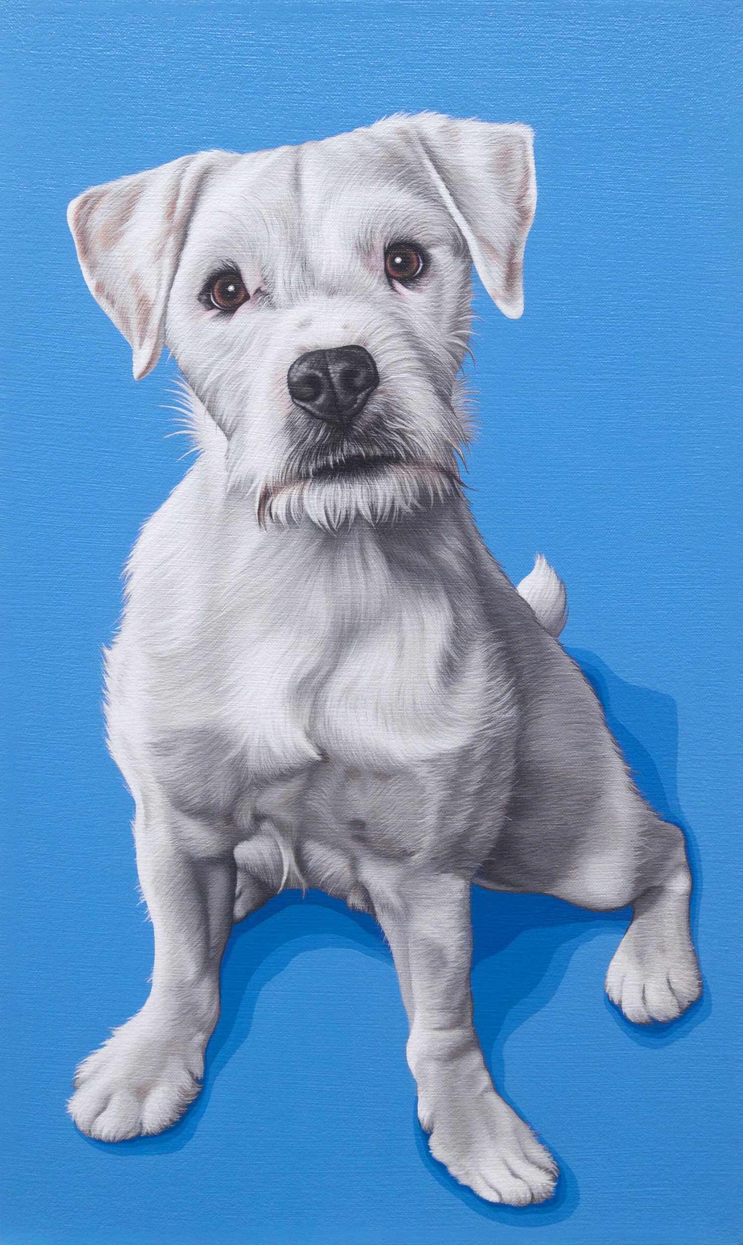 Hand-Painted Pet Portraits — Pop Zoo: Contemporary Pet Portraits