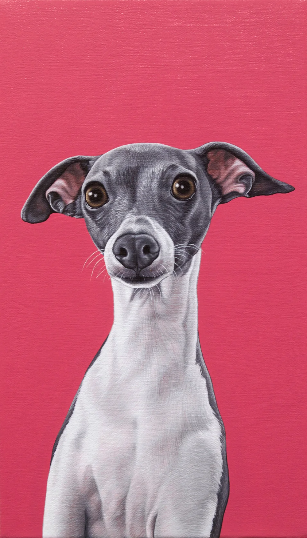 Hand-Painted Pet Portraits — Pop Zoo: Contemporary Pet Portraits