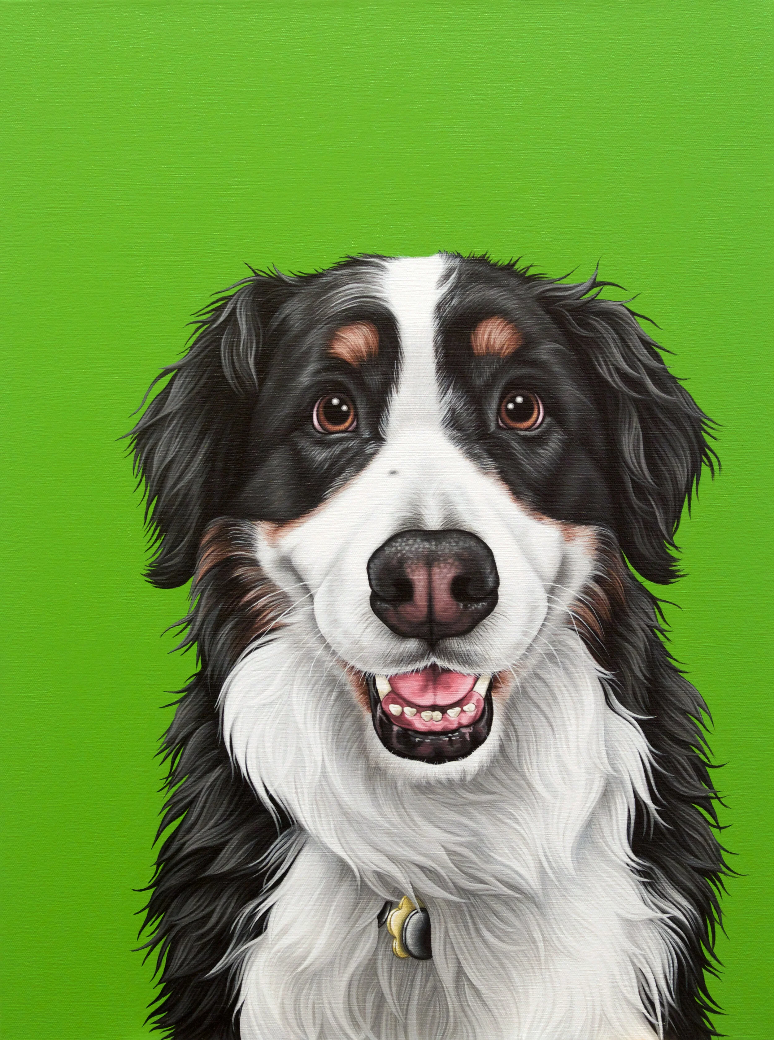 Hand-Painted Pet Portraits — Pop Zoo: Contemporary Pet Portraits