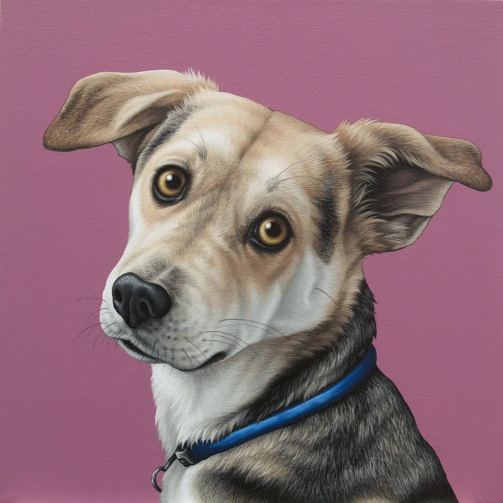 Hand-Painted Pet Portraits — Pop Zoo: Contemporary Pet Portraits
