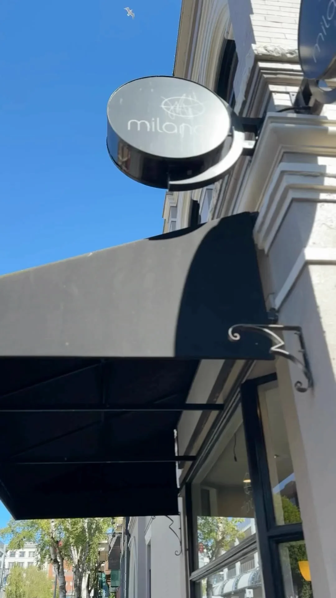 Planters, Plant Pots & Garden Container Designs Victoria BC | Modpots