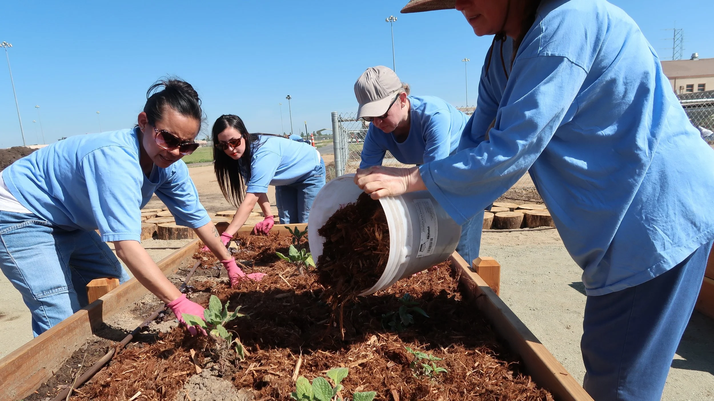 Insight Garden Program — MIRIDAE