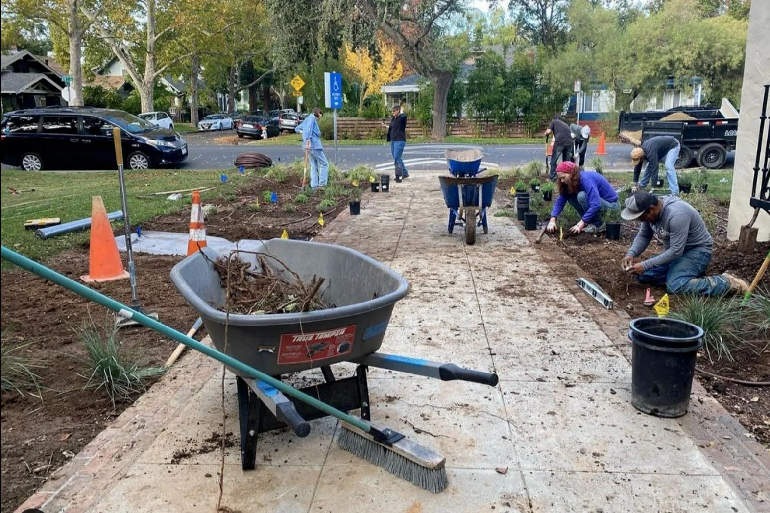 Sierra 2 Center Plant Stories Garden — MIRIDAE