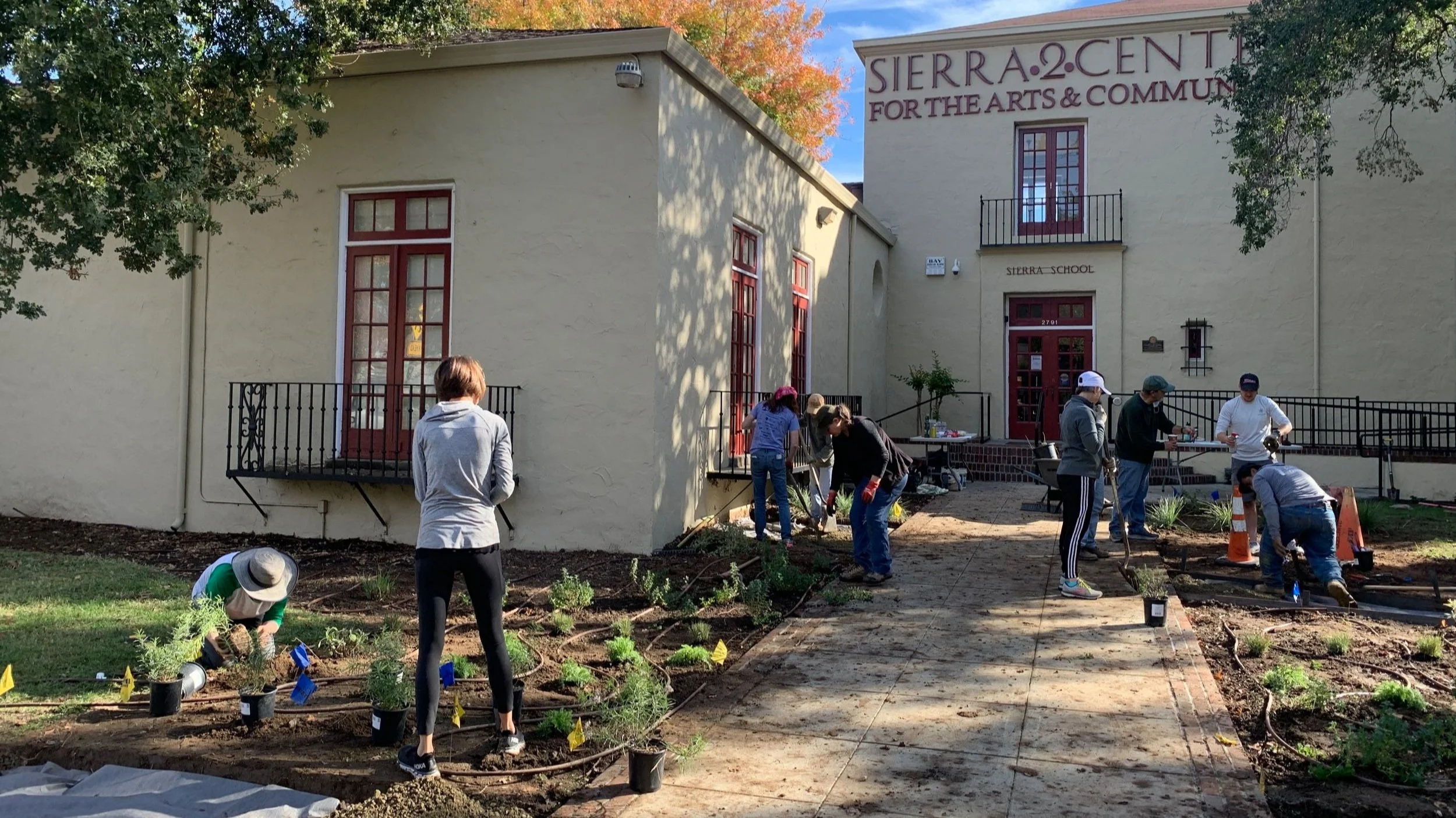 Sierra 2 Center Plant Stories Garden — MIRIDAE